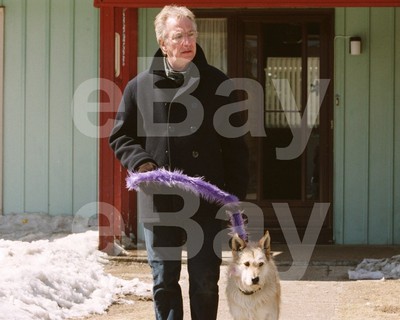 Snow Cake (2006) Alan Rickman Photo | eBay
