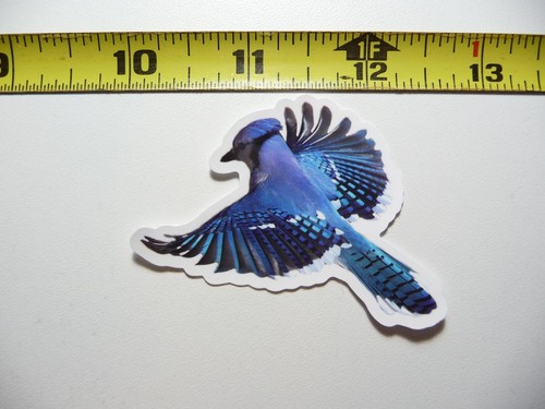 FLYING BLUEJAY BLUE JAY BIRD STICKER DECAL WILDLIFE PRESERVE NATURE ...