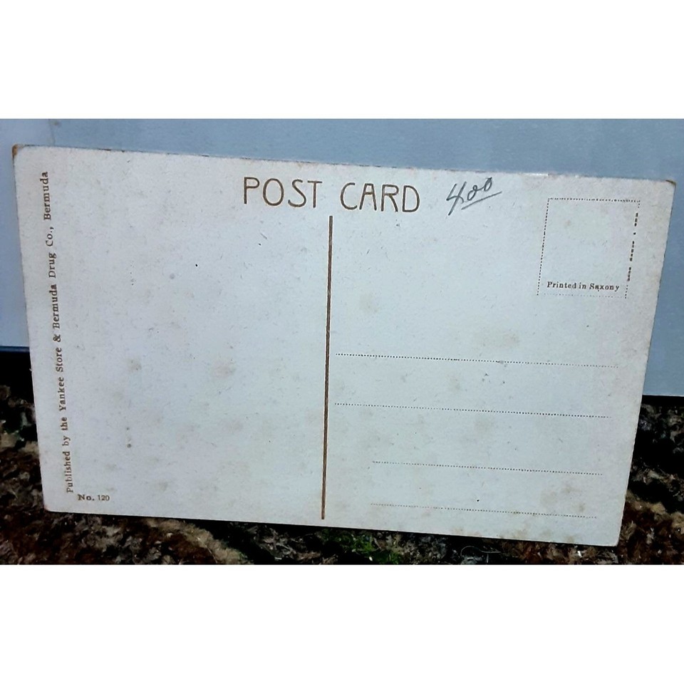 Vintage 1930s Sketchy Path Bermuda Flowers Walkway vintage Postcard | eBay