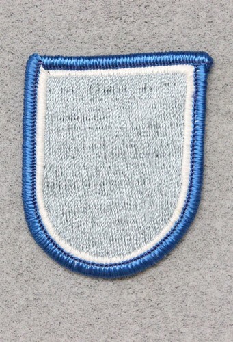 Army Beret Flash Patch 786: 110th Military Intelligence Bn (LRSD ...