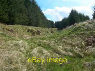 Photo 6x4 A Natural Firebreak Dobbingstone Burn This small burn ...