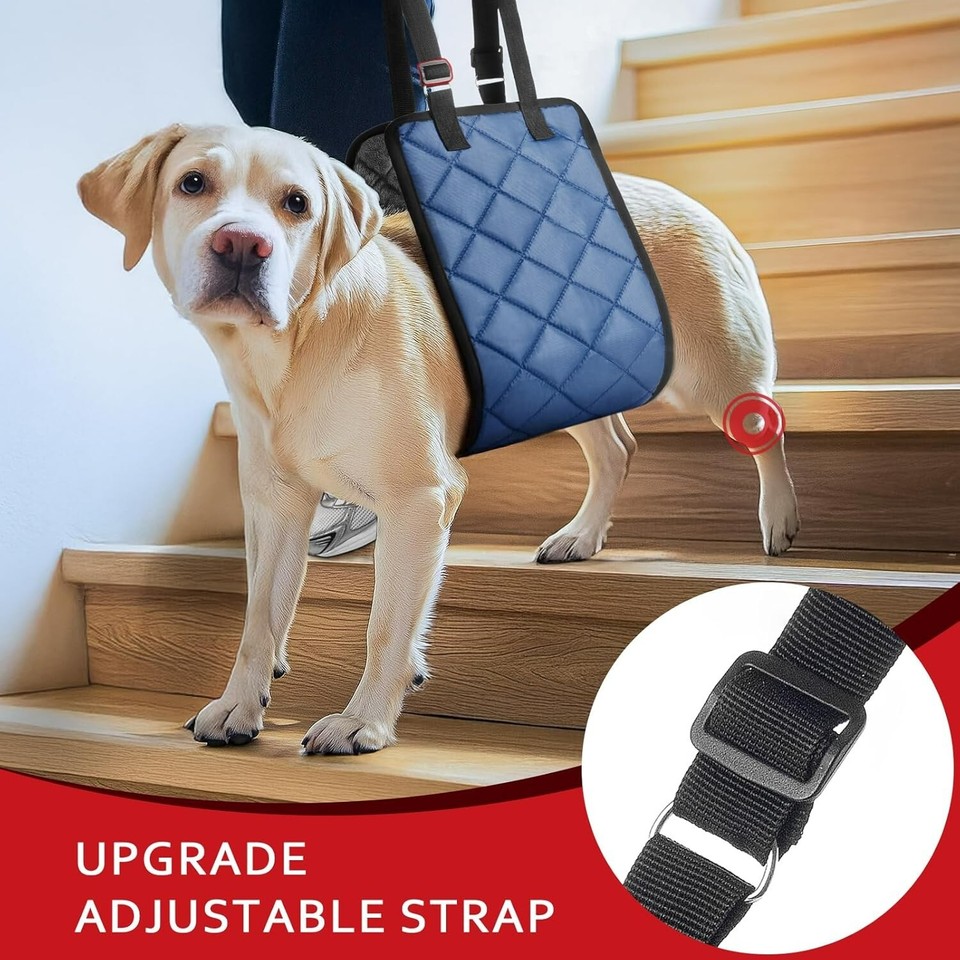 Adjustable Dog Sling Dog Lift Harness for Injured/Disabled/Elderly Dog ...