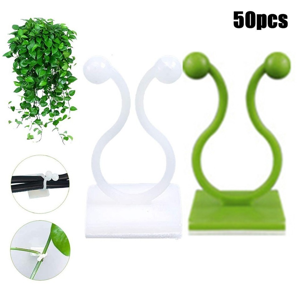 Kit Wall Vines Fixtures Plant Outdoor Vines Wall Wall Sticky 50 Pcs/Set ...
