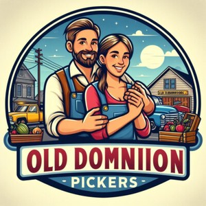 Old Dominion Pickers | eBay Stores