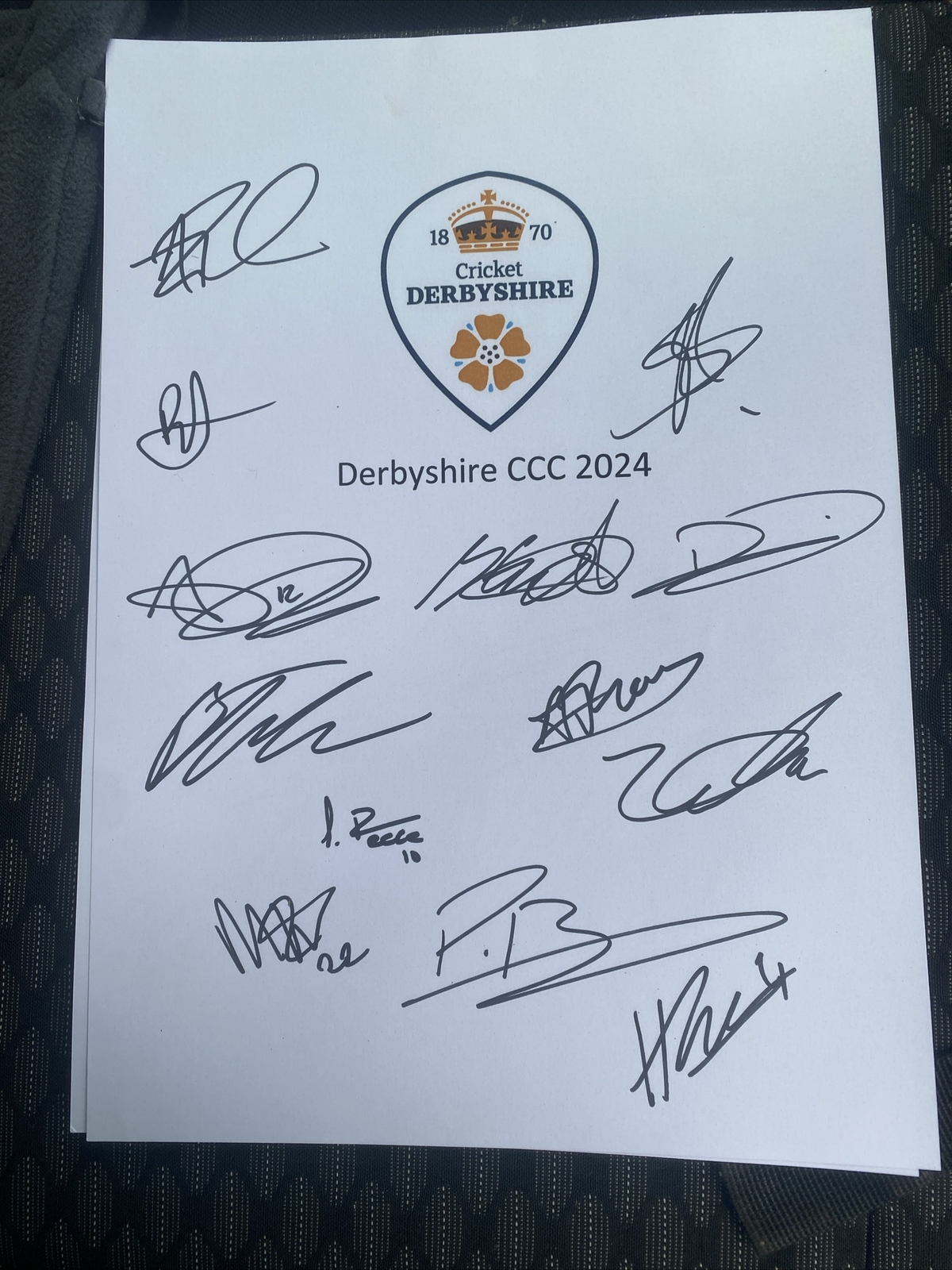 Derbyshire County Cricket Club 2024 Signed | Grelly UK