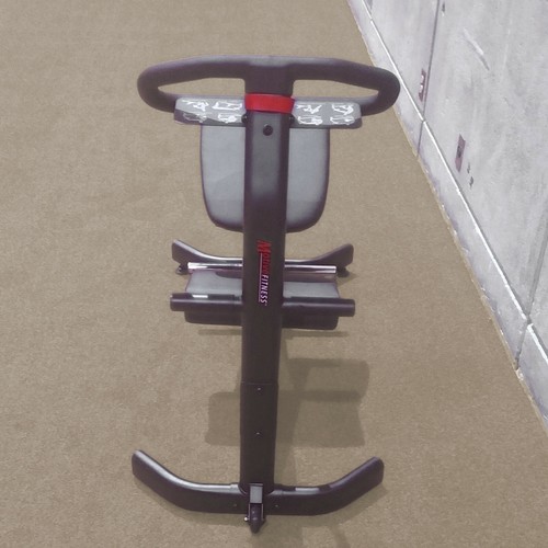 Motive Fitness TotalStretch TS100 Commercial Back & Body Stretch ...