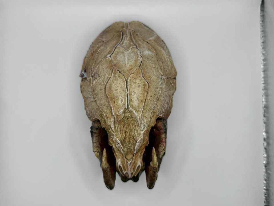 Predator Prey Magnet Removable Mask Hand Painted 3D Printed Made to ...