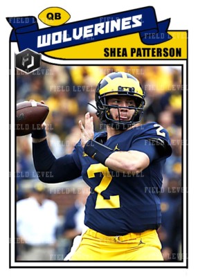 ACEO SHEA PATTERSON MICHIGAN WOLVERINES CUSTOM HAND MADE ART CARD | eBay