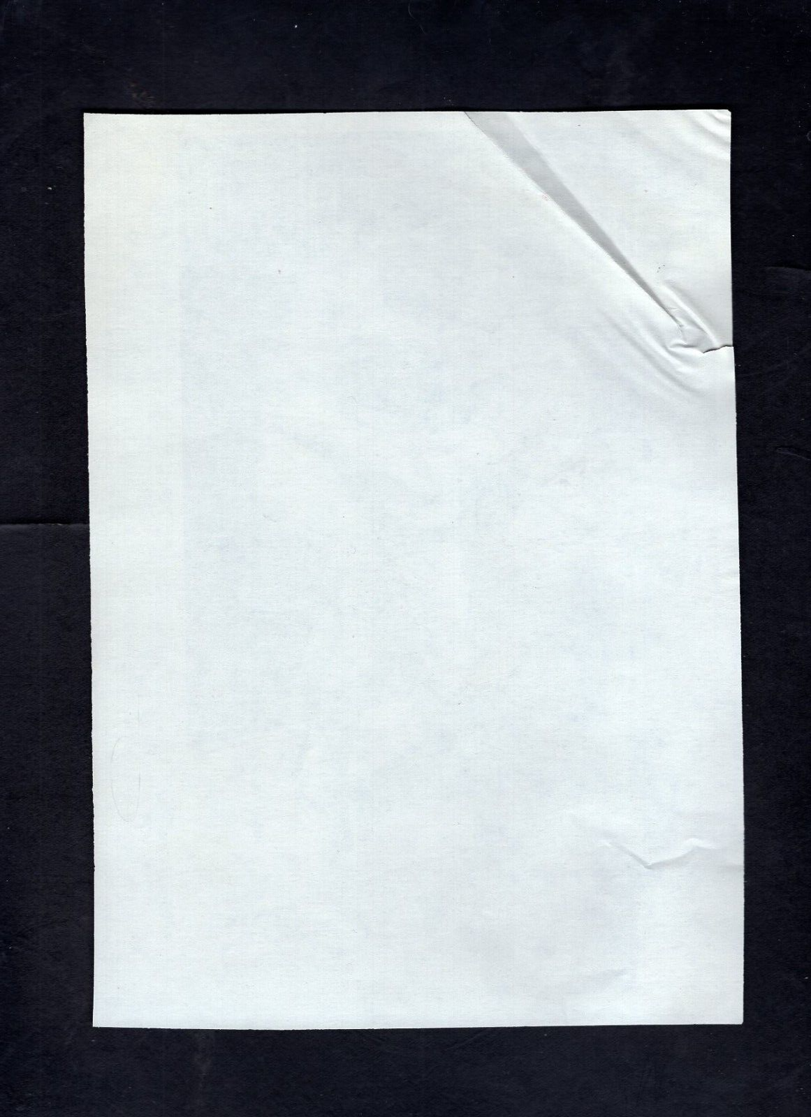 Steve Courson Pittsburgh Steelers Football LOT of 3 Press Photos | eBay