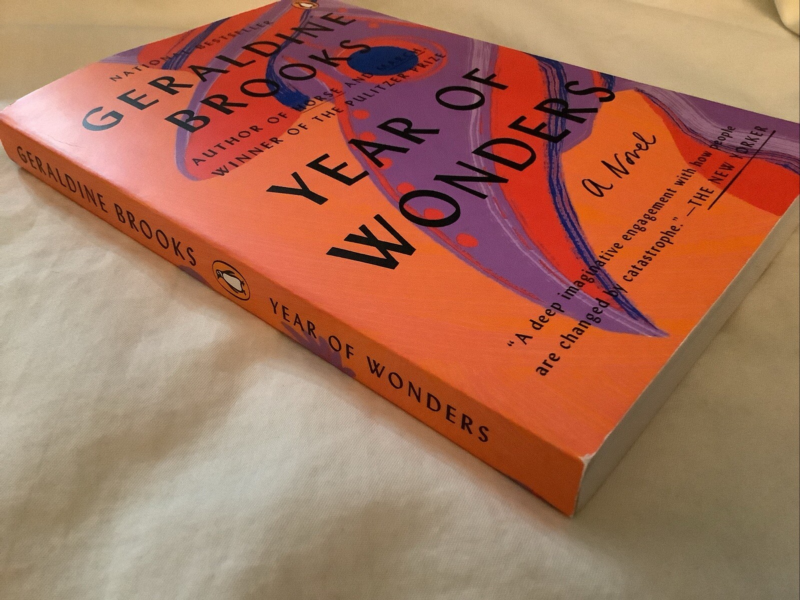 Year of Wonders : A Novel by Geraldine Brooks (2002, Trade Paperback ...