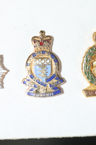 BRITISH ROYAL ARMY ORDNANCE CORPS METAL ENAMEL LAPEL / HAT CAP PIN ...