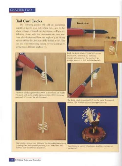 Wood Carving Guide w/ Twigs & Branches - Birds Flowers | eBay