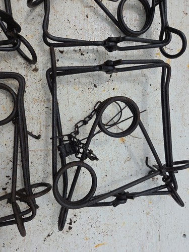 Lot Of 4 Duke 330 Body Grip Conibear Traps Trapping Trap Fur Harvesting ...