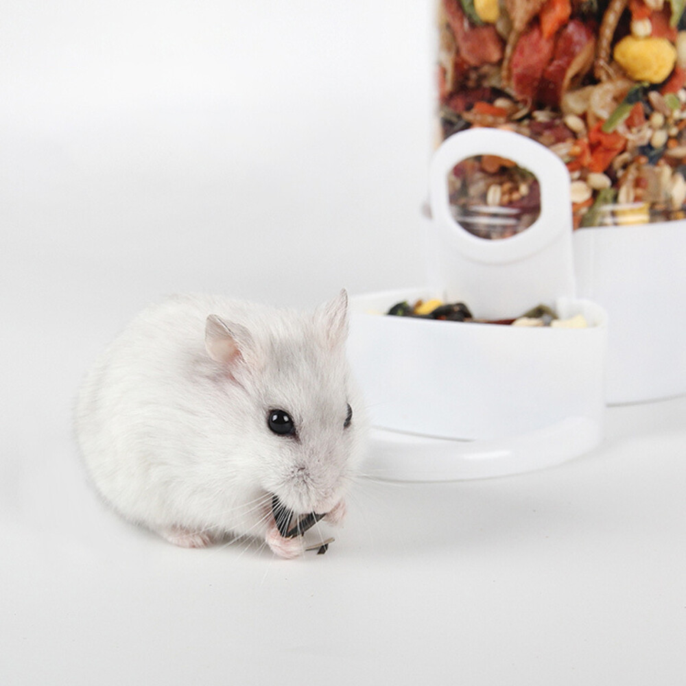 Pet Food Dispenser Hamster Feeder Feeding Tool Automatic Hedgehog | eBay