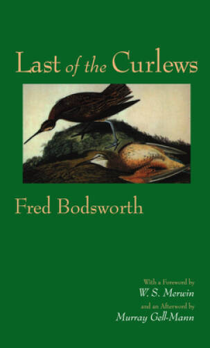 Last of the Curlews - Paperback By Bodsworth, Fred - GOOD 9781582437354 ...