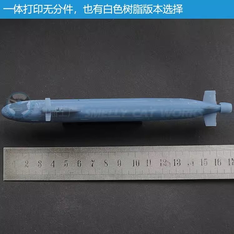 3D Printed 1/700/1250/2000 Chinese Navy Type 095/096 Nuclear Submarine ...