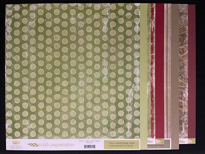 MME WILD ASPARAGUS CHRISTMAS "NOEL" AND "BELIEVE" 12X12 DS CARDSTOCK ...