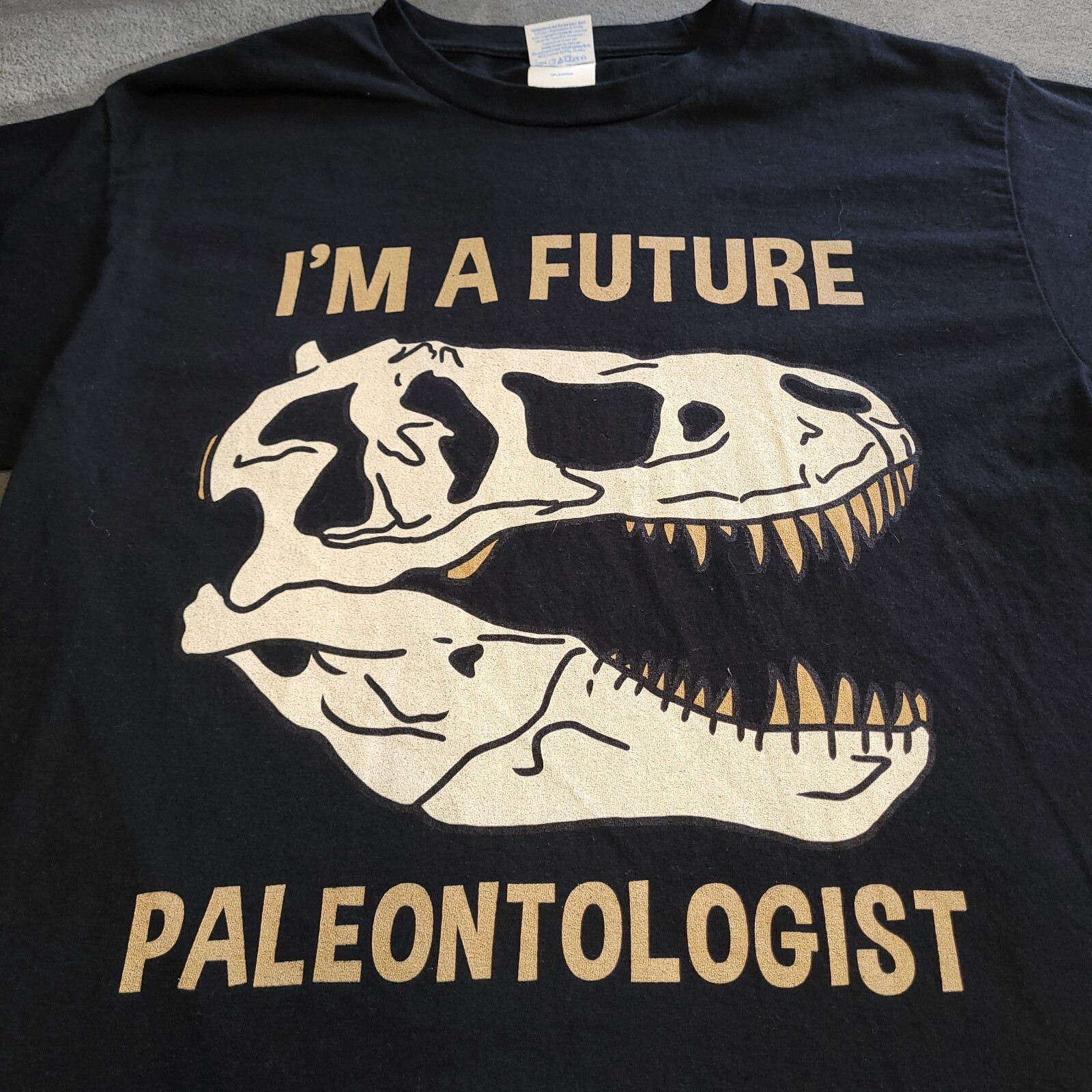 Dinosaur Skeleton Fossils Future Paleontologist T Rex… - Gem