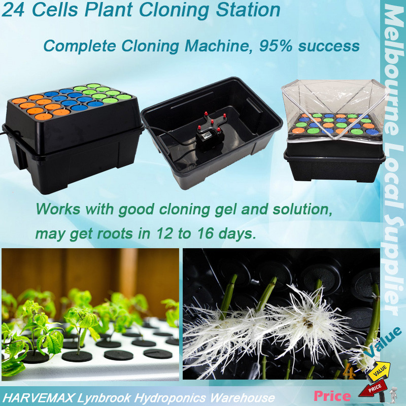 Cloning Plants Clone Shipper Container W/ LED Light For Shipping Young
