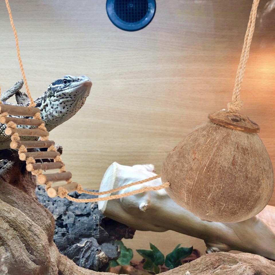 Coconut Gecko Hideaway Lizard Hideout House Spider Terrarium Animal ...