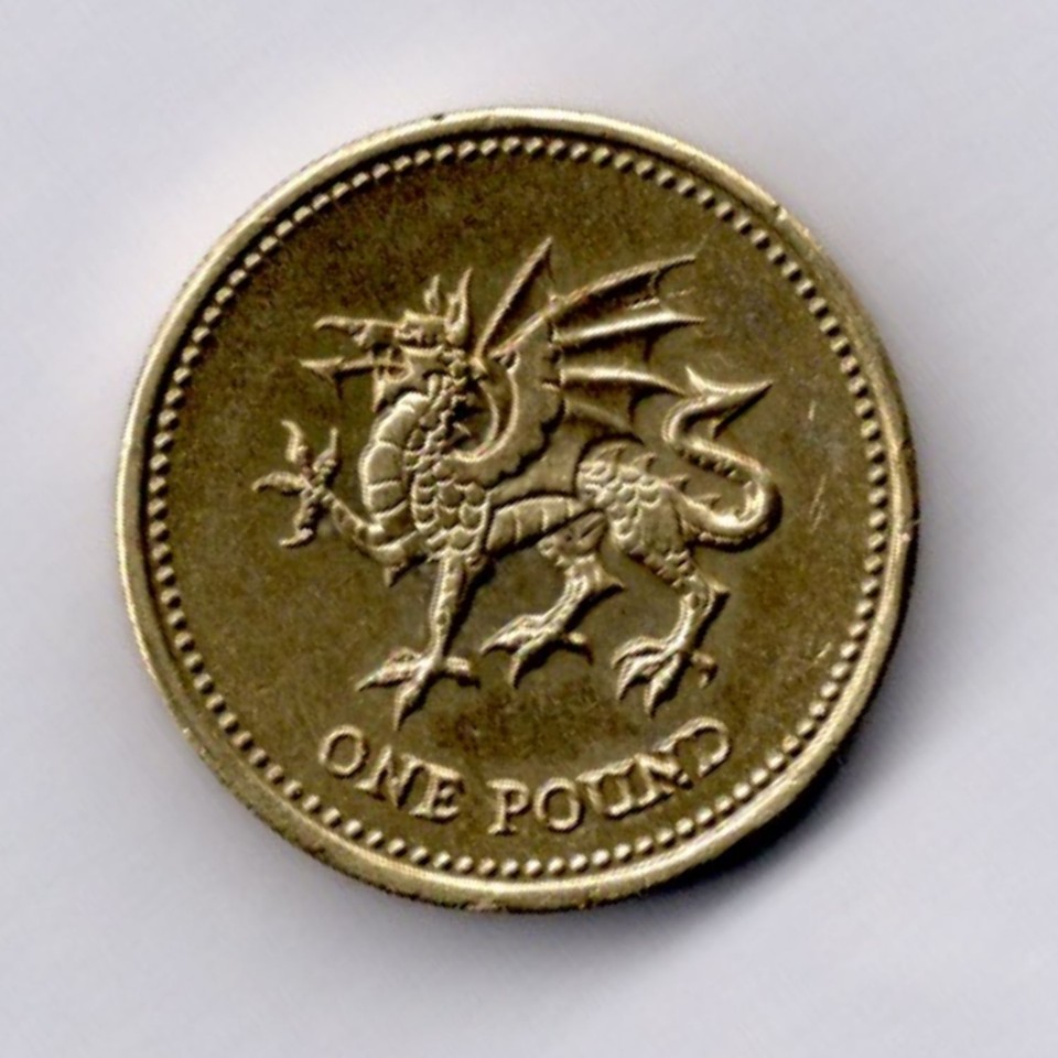 UK £1 One Pound British Coins 1983-2015 CIRCULATED COIN VARIOUS DESIGNS ...