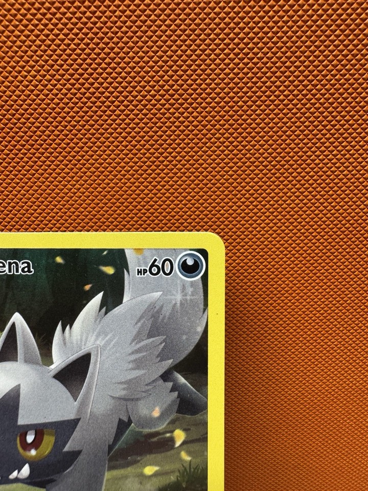 Poochyena GG33/GG70/ - Ultra Rare NM | eBay