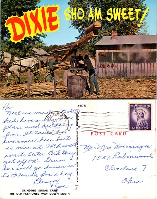 Grinding Sugar Cane Dixie Sho Am Sweet Mule Postcard | eBay