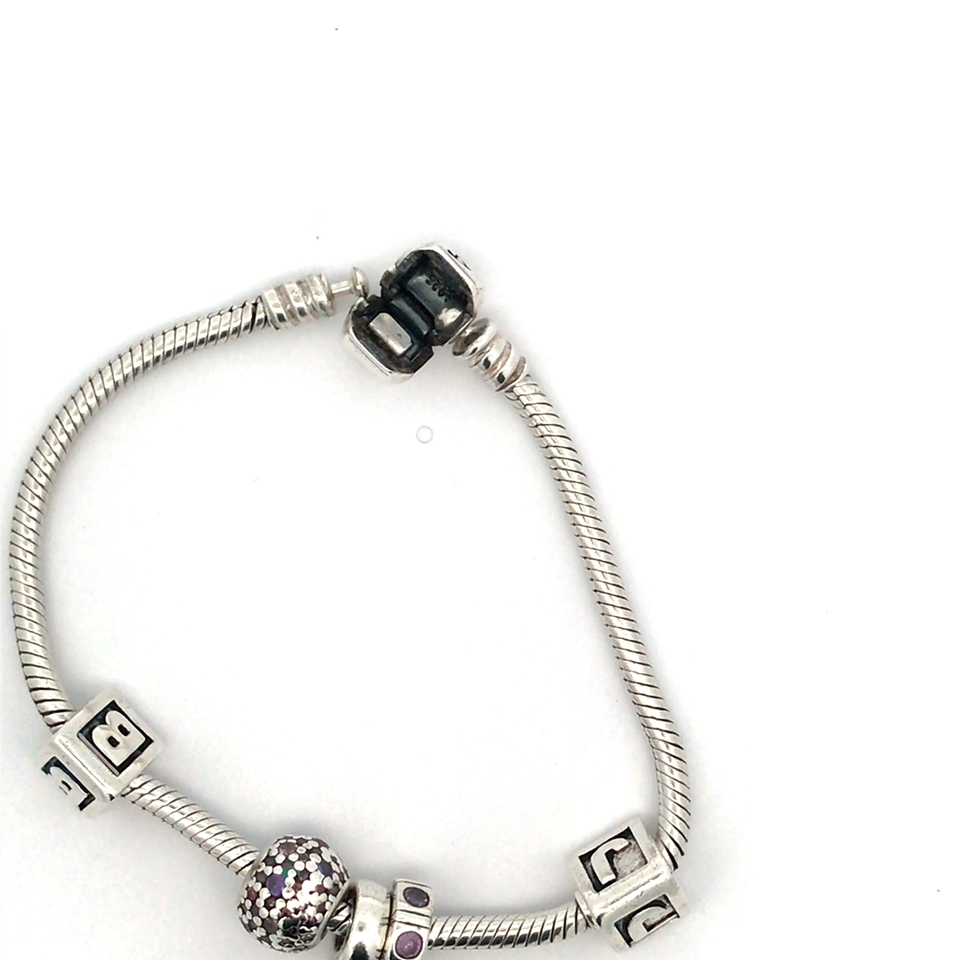 Pandora Sterling ALE Snake Cable Charm Bracelet with 6 Charms - 6.7" | eBay