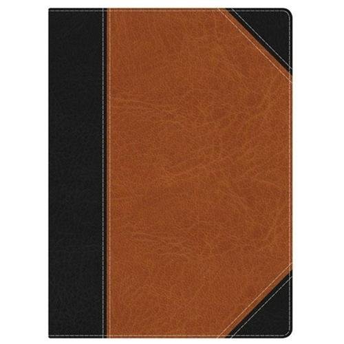 HCSB Study Bible, Black/Brown LeatherTouch by The HCSB Translation Team ...