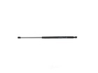 Mopar 68282670AB Hood Lift Support | eBay