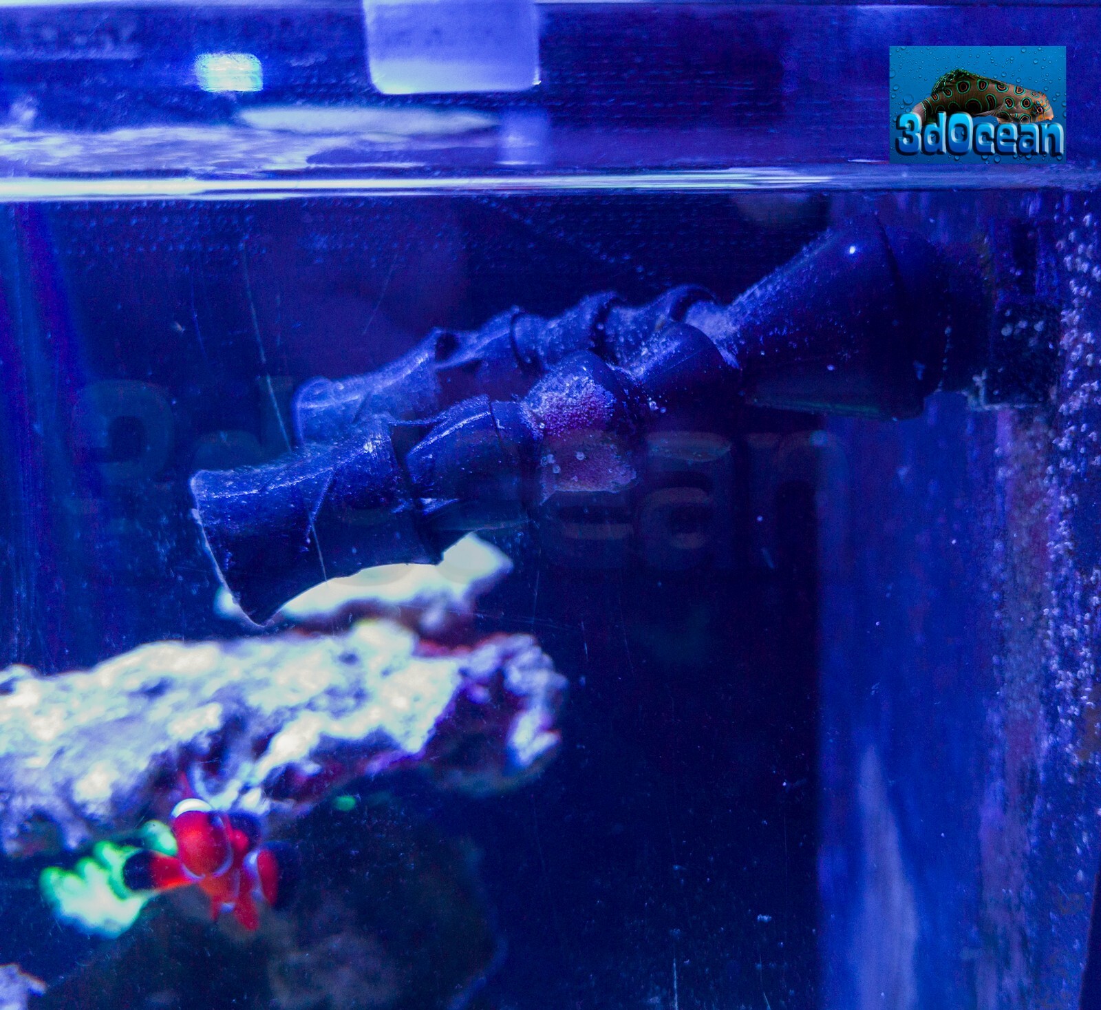 Random Flow Dual Nozzles For Fluval Evo, Flex & Spec 13.5g 52l ONLY 1 ...