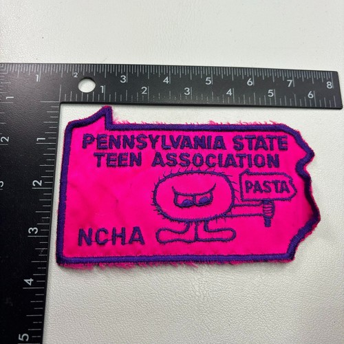 VTG National Campers Hikers NCHA Pennsylvania State Teen Assn PASTA ...