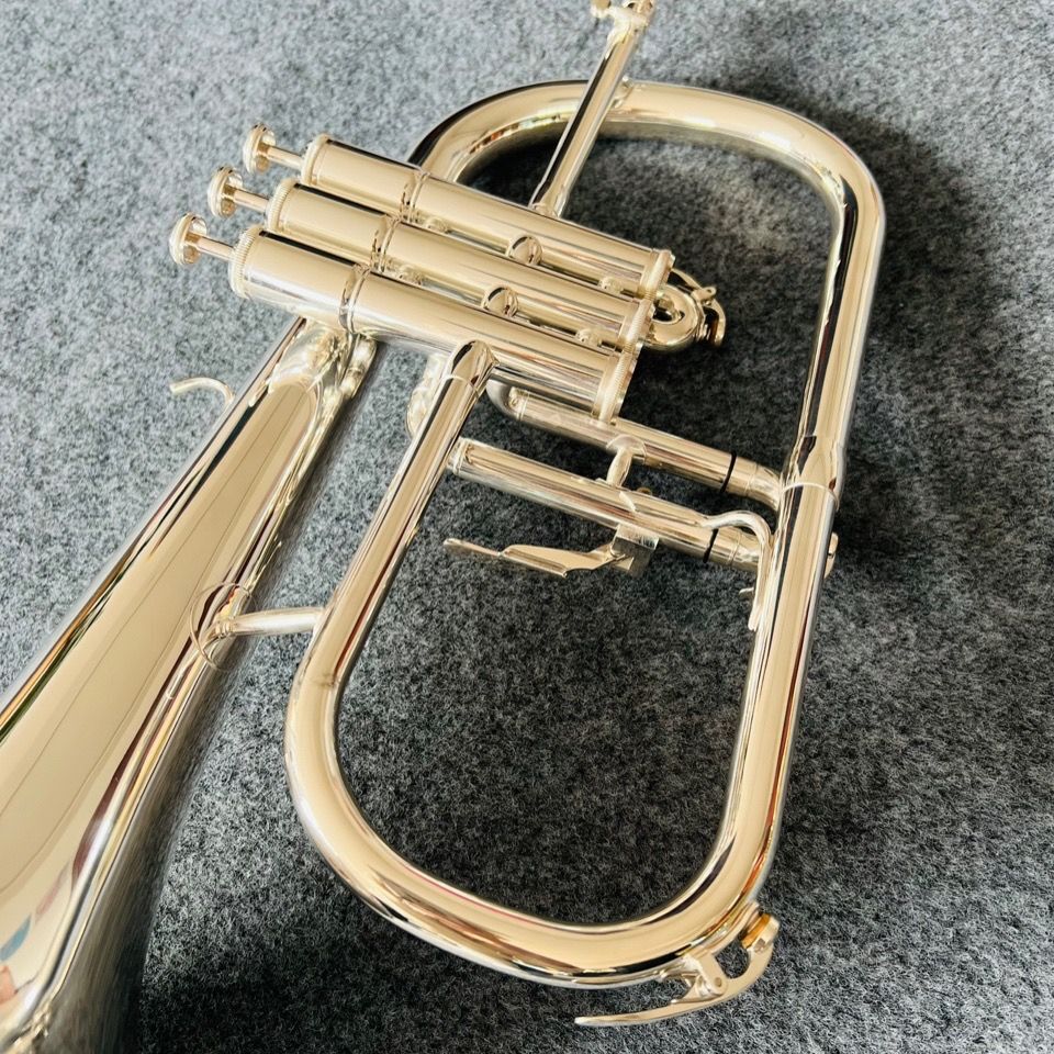 B Flat Silver Plated Professional Flugelhorn Performance Instrument ...