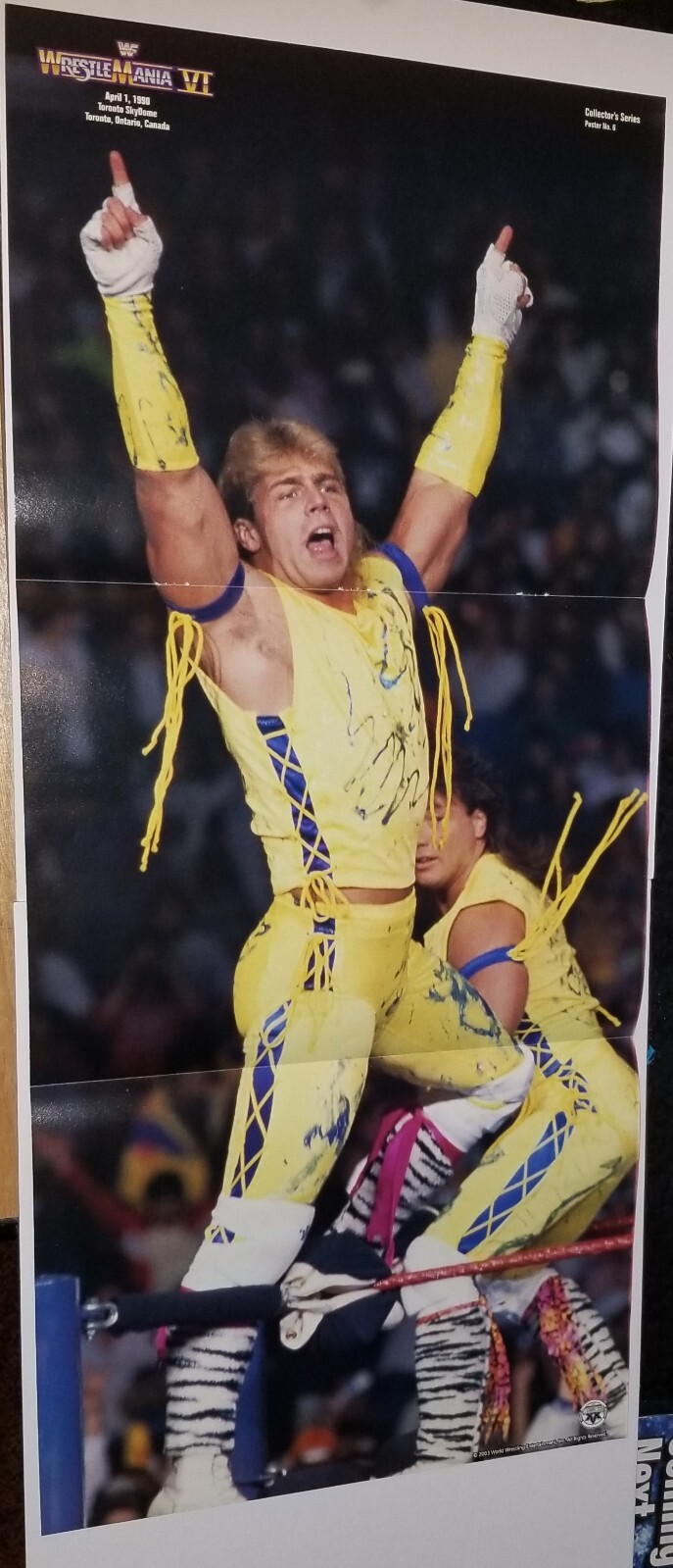 WWE THE ROCKERS (magazine centerfold poster 2003) w/ Shawn Michaels ...