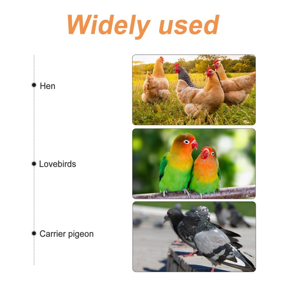 Poultry Chicken Standing Rack Wood Rooster Hen Stand Bird Perch Pet ...