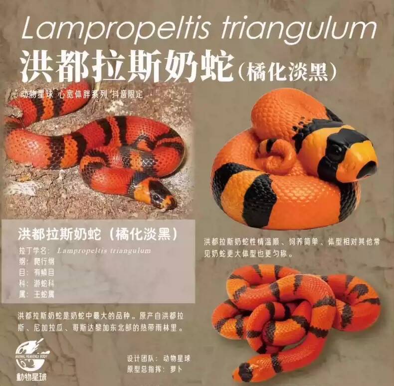 Animal Planet Animal Heavenly Body Statue TIKTOK Ver. 5Pcs Snake Statue ...