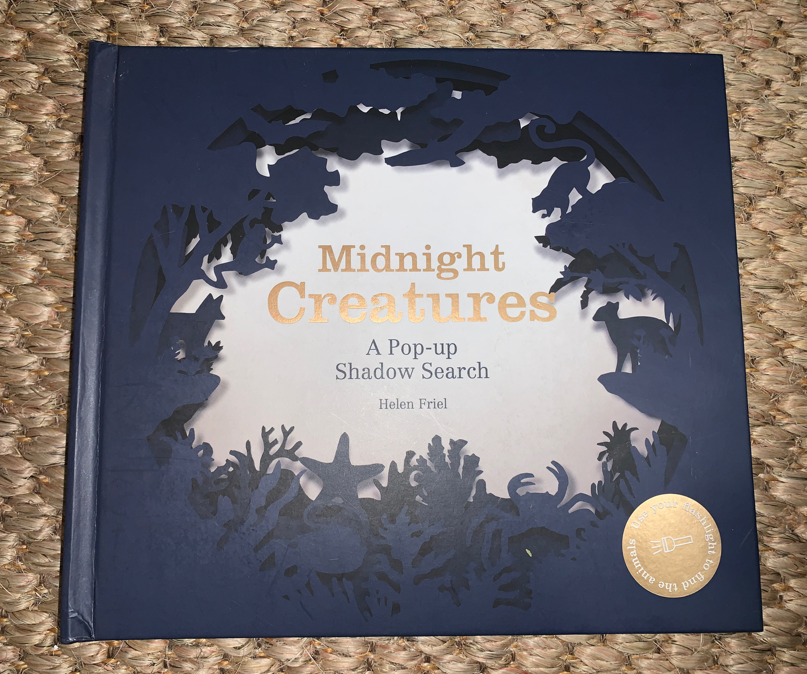 Midnight Creatures a Pop-up Shadow Search Book by Helen Friel ...