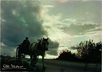 CPA MONIER ALBERT-Prestige de la terre-Avant l'orage (331583) | eBay