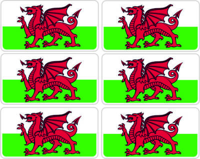 SelfAdh small WELSH FLAG stickers/decals (SET OF 6) .Racecar/Mini/Boats ...