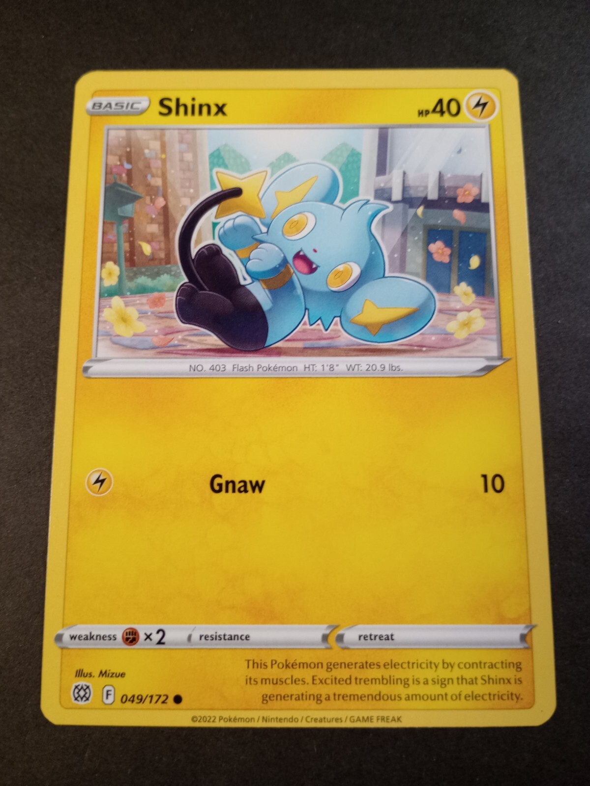 Pokemon Brilliant Stars Shinx Common Card 049/172 NM | eBay
