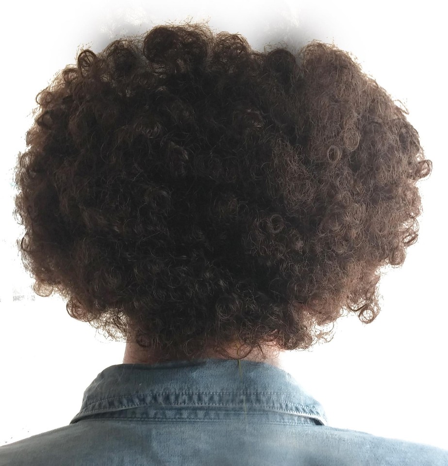 City Costume Wigs Larry Three Stooges Wig Bald Curly Brown Wig for Men ...