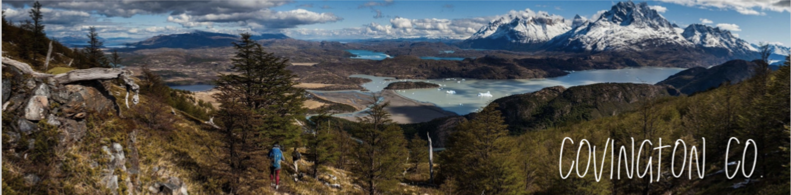 Covington Co | eBay Stores