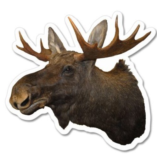 Moose Head Car Vinyl Sticker - SELECT SIZE | eBay