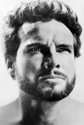 Steve Reeves Beard