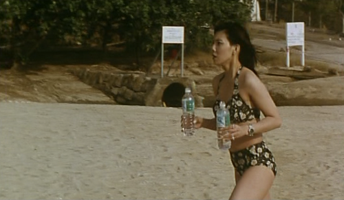 MODEL FROM HELL Busty MAGGIE Q Simon Yam FEMME FATALE Cult OOP Erotic Horror DVD 4895067300226| eBay