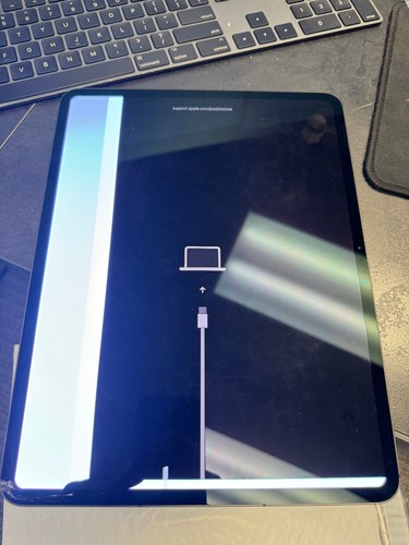 Apple iPad Pro 13" 2024 - 256GB Space Black (Verizon) A2926 - CRACKED ...