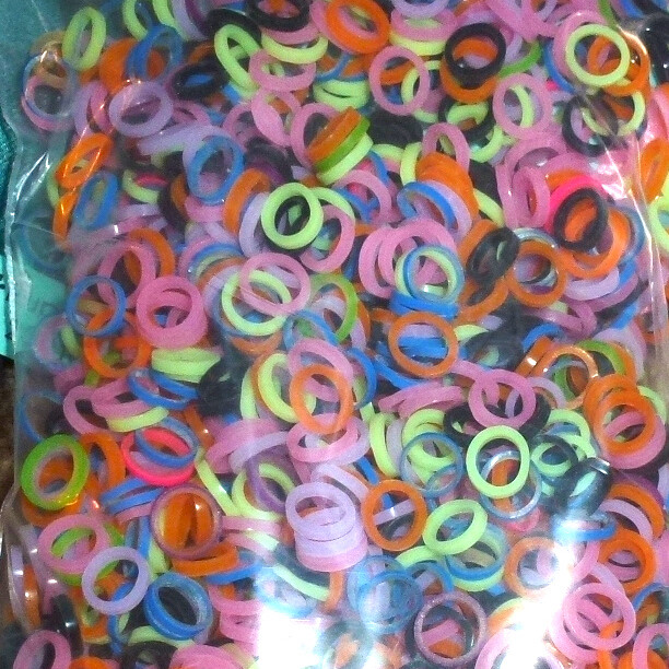 We're Blessed Farms Chicken LEG BANDS chick multi color ELASTIC~USA ...