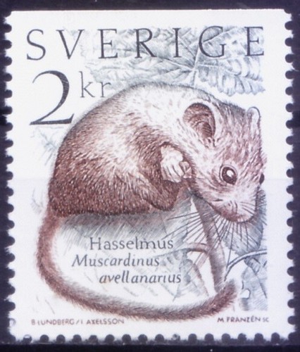Sweden 1985 MNH, Common Dormouse, Mice, Rodents [Ae] | eBay