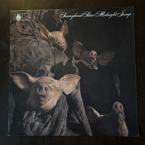 Sunnyland Slim - Midnight Jump - 1969 First Press VG+/EX | eBay