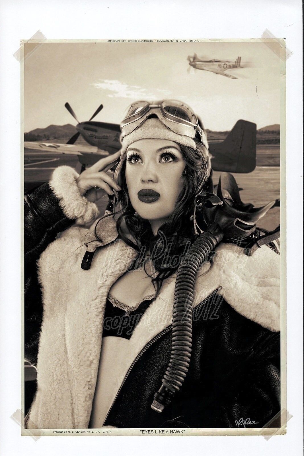 WWII Pin Up Series Michael Malak Giclee Eyes Like a Hawk Jessamyne Rose ...